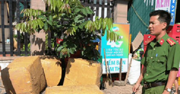 Quảng Trị: Phát hiện 630kg sụn gân gà không rõ nguồn gốc