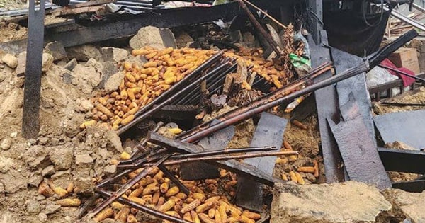 Lào Cai: Sạt lở đất nghiêm trọng khiến 7 người mất tích