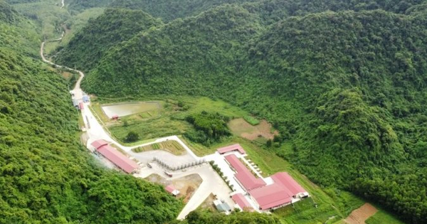 Xả thải vượt quy chuẩn, trại heo của Công ty TNHH Dabaco Thanh Hóa bị ...